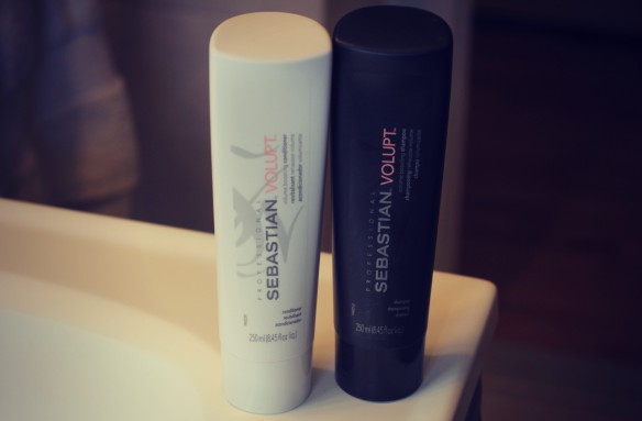 Sebastian Volupt – THIRTEEN THOUGHTS