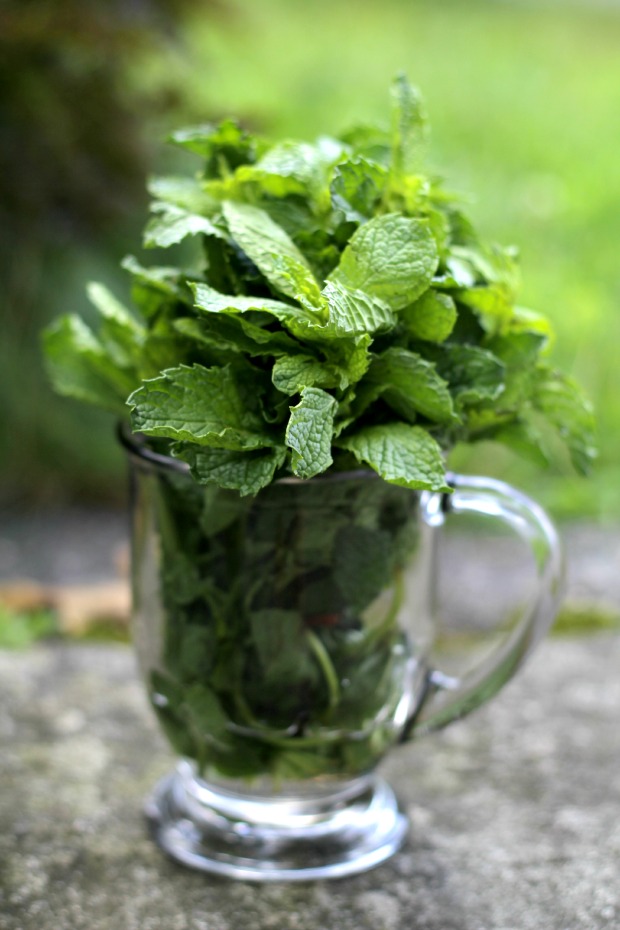 Fresh mint, cucumber and lime infused water.