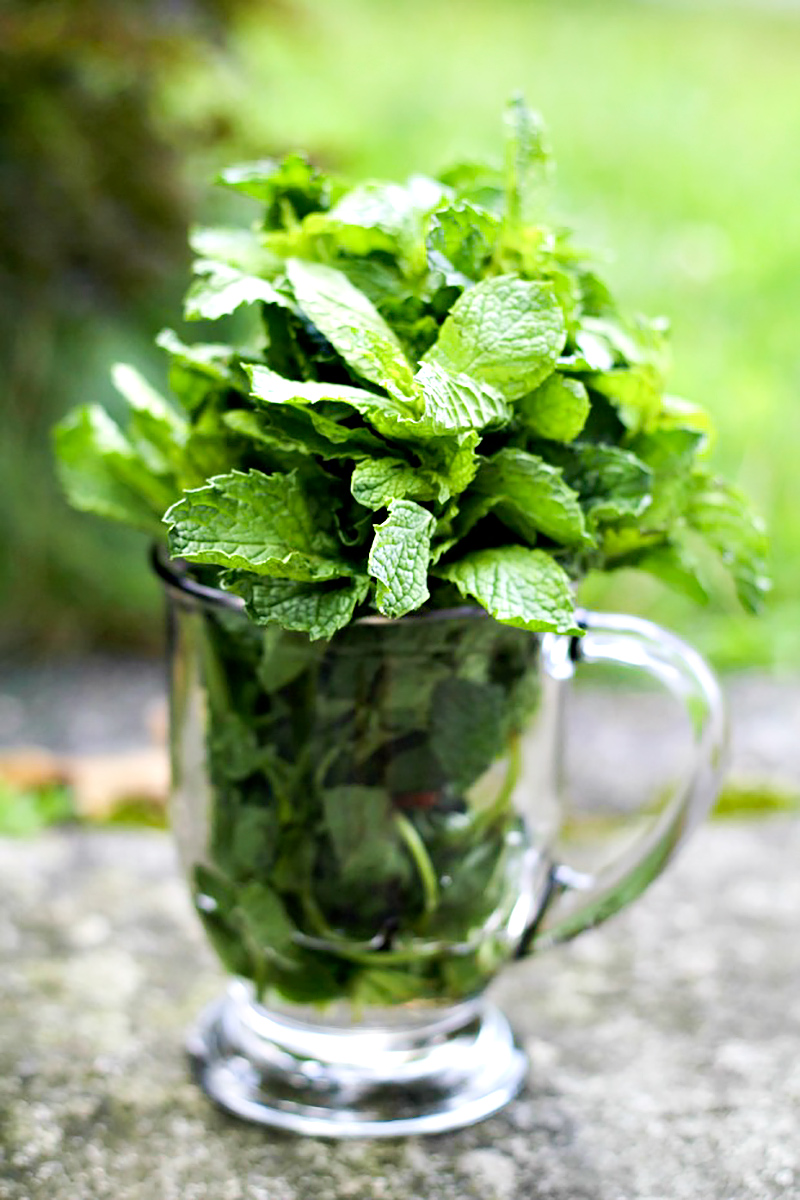 Mint, cucumber and lime infused water – THIRTEEN THOUGHTS