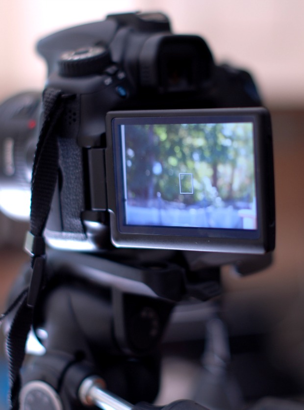 My cameras & other equipment – THIRTEEN THOUGHTS