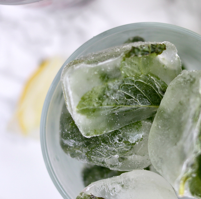 Herb and fruit infused ice cubes – THIRTEEN THOUGHTS