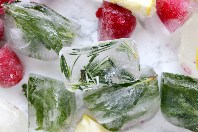 Herb and fruit infused ice cubes – THIRTEEN THOUGHTS